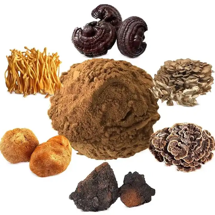 Mushroom Blends Powder Bulk Suppliers – Sheer Healthy Mushrooms Extract